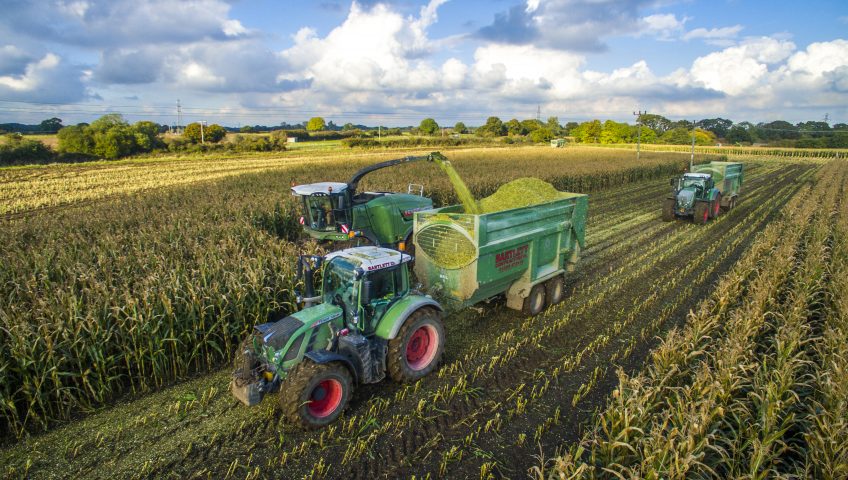 Maize Harvesting - Bartlett Contractors
